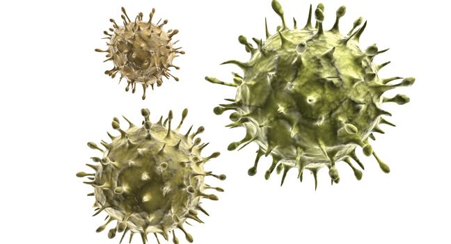 Les pneumococcies, vous connaissez ? - Virage - Le magazine en ligne