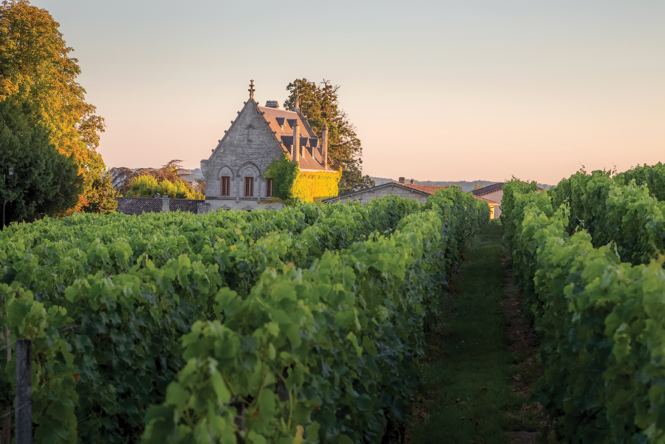 Bordeaux : des vins mythiques - Virage - Le magazine en ligne